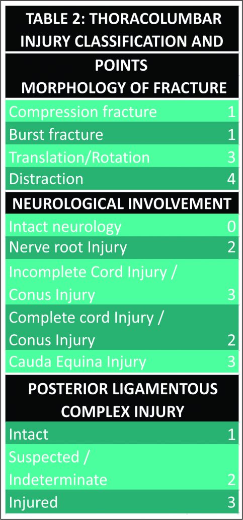 Thoracolumbar Fractures: Classification and Clinical Relevance ...